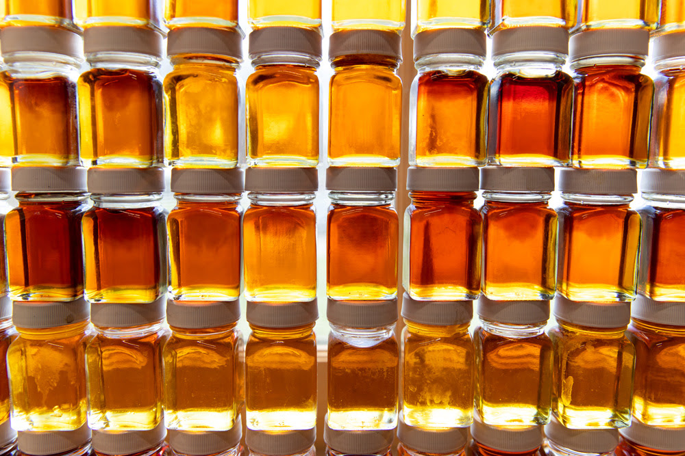 The Flavors of Maple Syrup Grades Explained | Shelburne Farms
